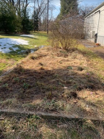 Toll Gate helps the pollinators - MercerMe