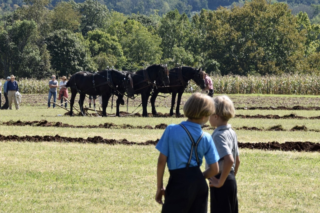 Photo gallery: Howell Living History Farm plowing match | MercerMe