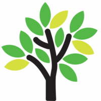 Mercer County Library System Announces Winter Reading Program - MercerMe