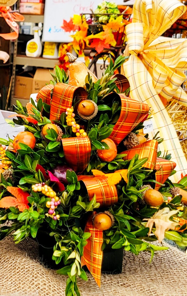 Support your local farm: an interview with Jim Sansone - MercerMe