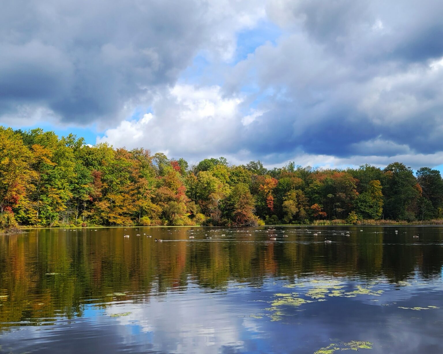Have you ever.... visited Amwell Lake and the Wing Dam? - MercerMe