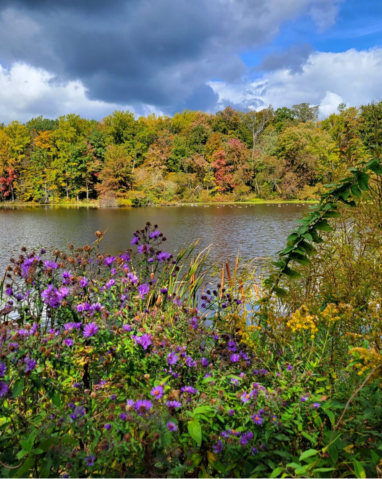 Have you ever.... visited Amwell Lake and the Wing Dam? - MercerMe