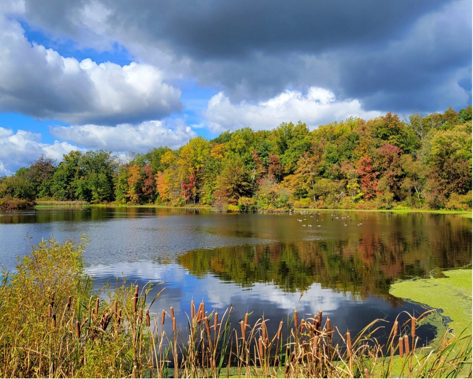 Have you ever.... visited Amwell Lake and the Wing Dam? - MercerMe