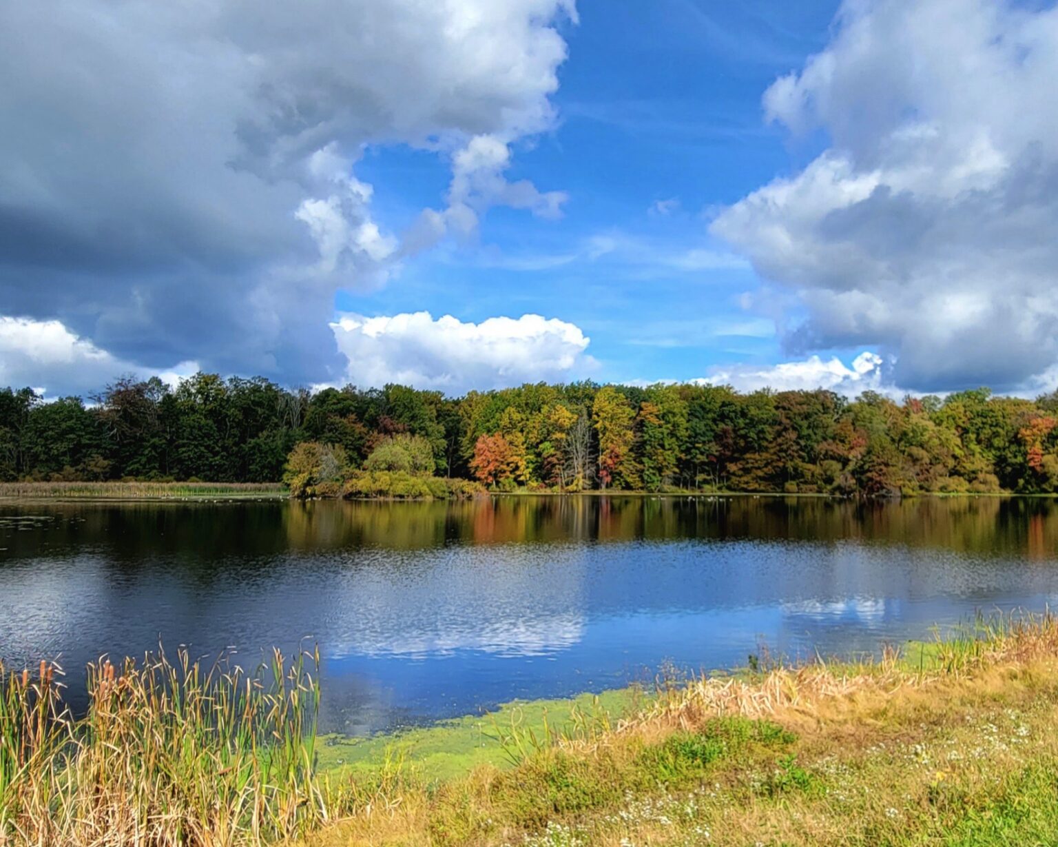 Have you ever.... visited Amwell Lake and the Wing Dam? - MercerMe