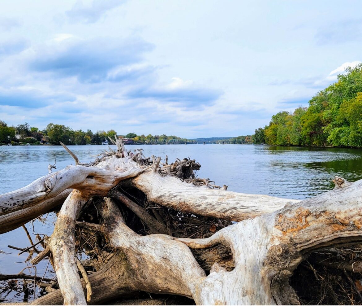 Have you ever.... visited Amwell Lake and the Wing Dam? - MercerMe