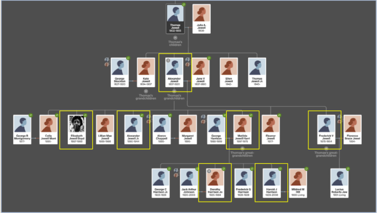Following Your Family Tree: African American Genealogy Workshop - MercerMe