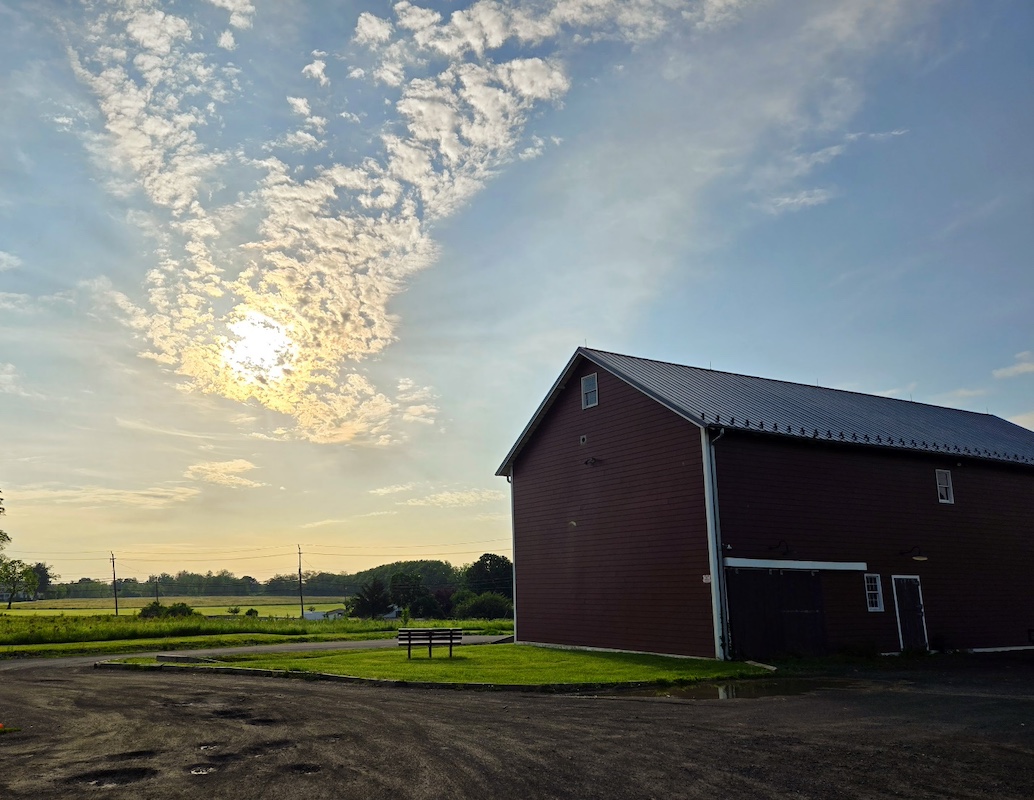Have you ever….. Gone on a Bird Walk at the Pole Farm? - MercerMe