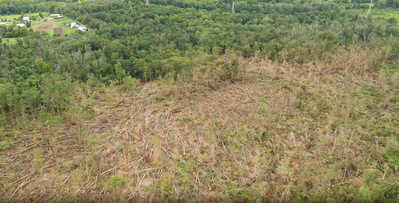 Baldpate Mountain to Receive More Restoration - MercerMe
