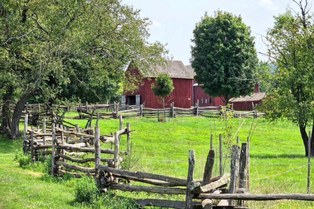 Have You Ever... Visited Howell Farm? - MercerMe