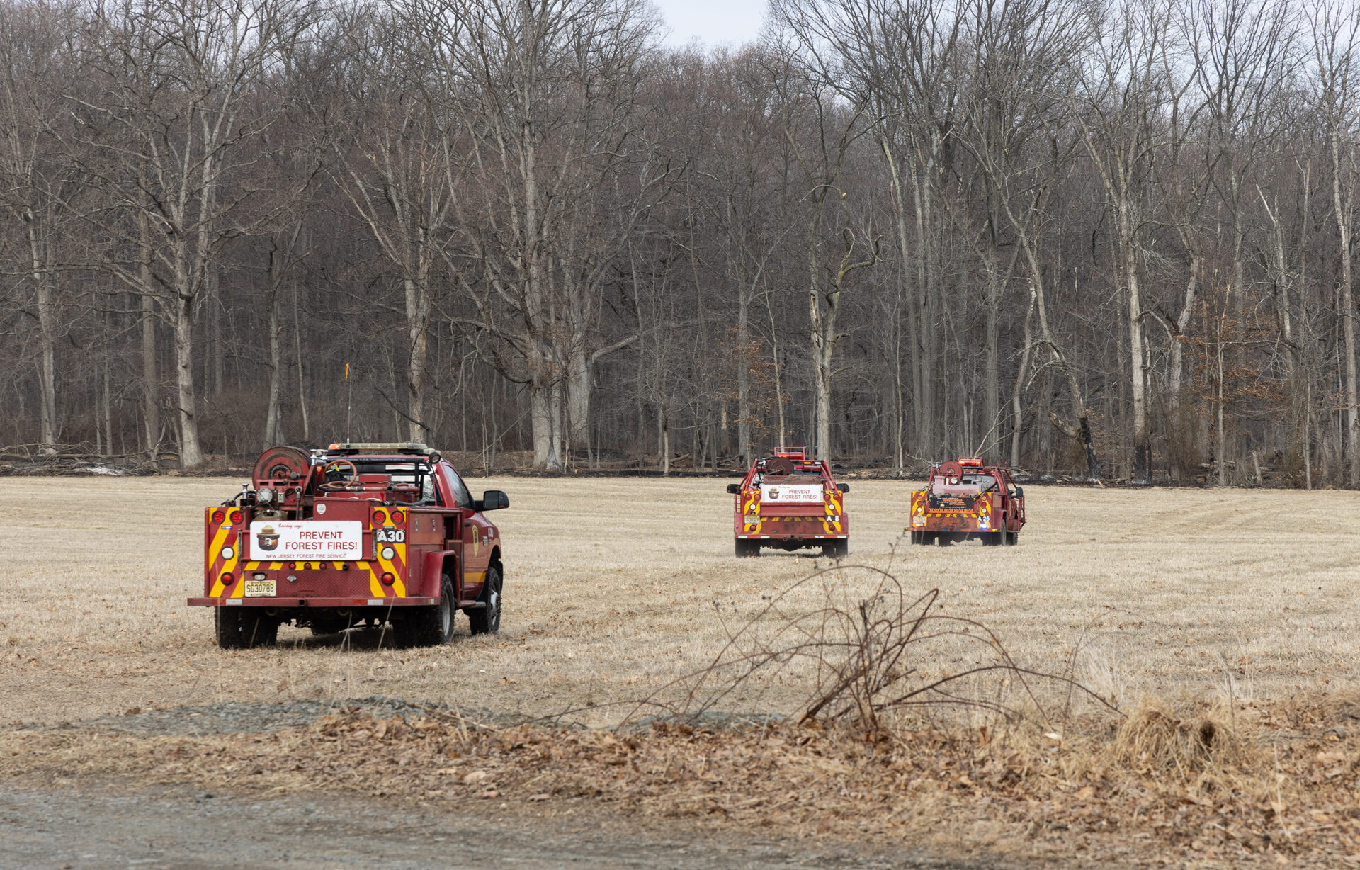 The Largest Forest Fire in Mercer County: A Community's Response and ...