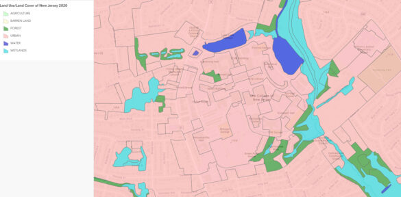TCNJ Land Stewardship Plan Aims to Boost Biodiversity and Community ...