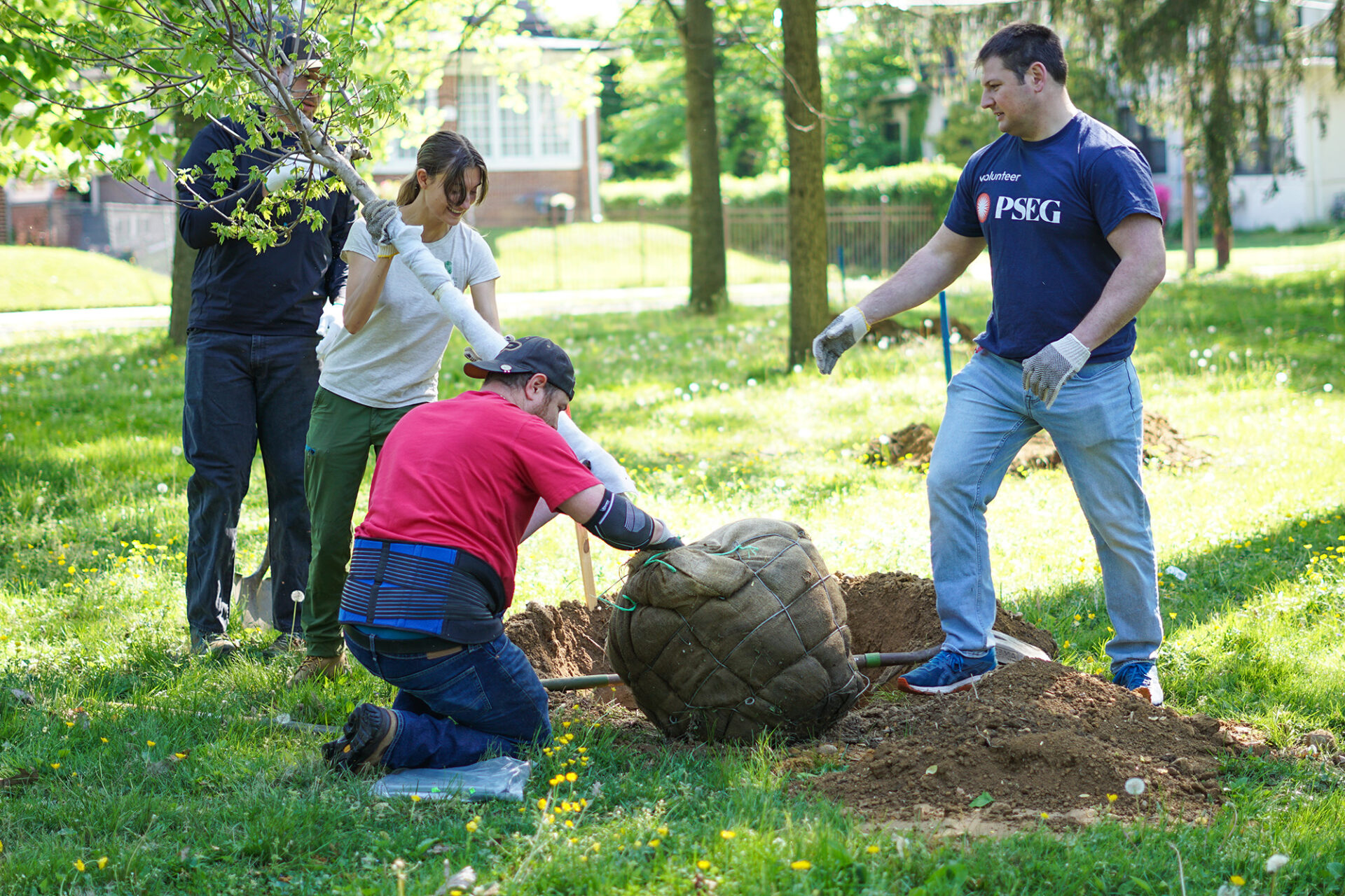 NJDEP Launches $30 Million Grant Program to Fund Nature-Based Climate ...