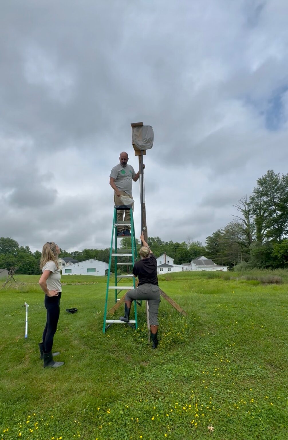 Community Efforts Boost the Kestrel Conservation Cause - MercerMe