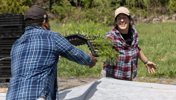 From Hopewell Valley to Bucks County, Roots to River Farm Builds a ...